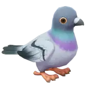 Birds | Wiki: Heartopia