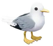 Birds | Wiki: Heartopia