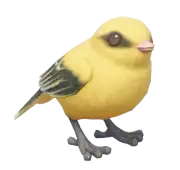 Birds | Wiki: Heartopia