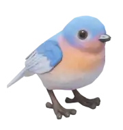 Heartopia Birds Wiki - Database & Complete Guide | Wiki: Heartopia