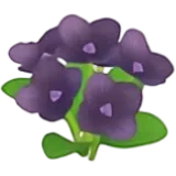 Flower Guide | Wiki: Heartopia